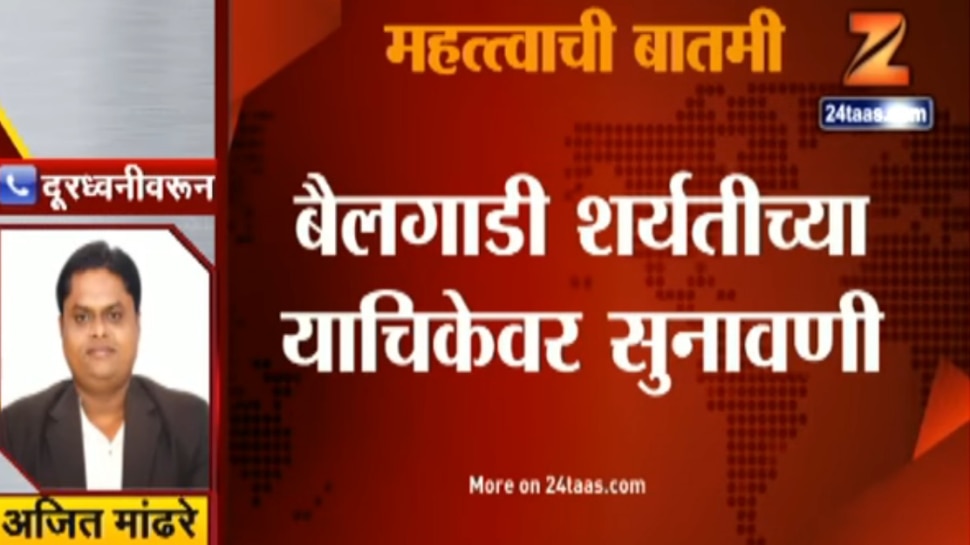 बैलगाडी शर्यतीवर बंदी कायम... | महाराष्ट्र बातम्या News in Marathi