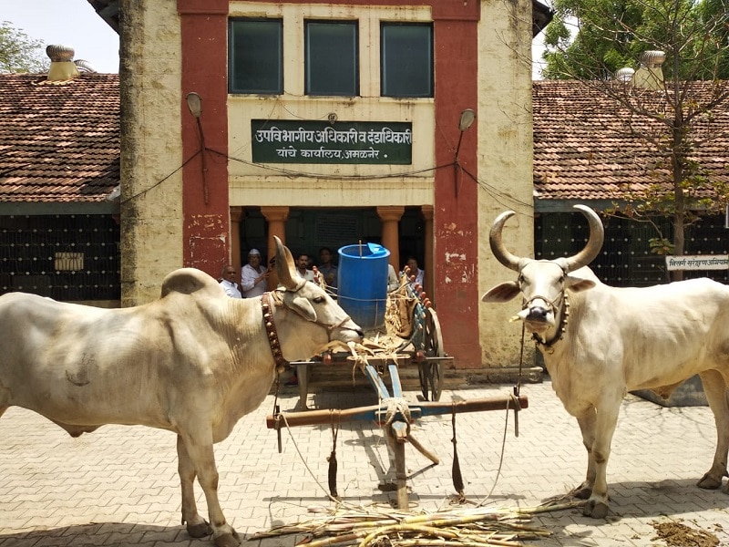 farmers agitation at amalner tahasil and prant office