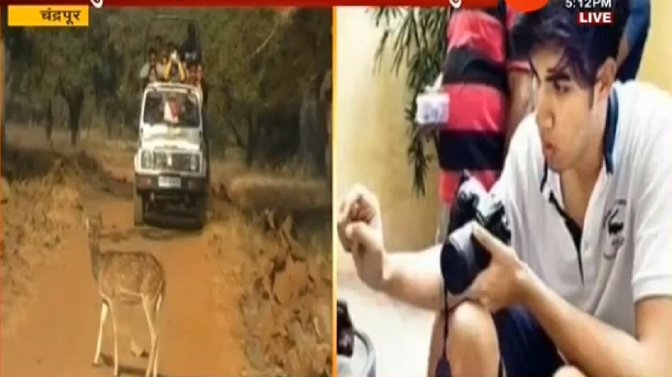 तेजस ठाकरेंना ताडोबात प्रवेश नाकारला आणि...| Chandrapur Shiv Sena Tejas ...