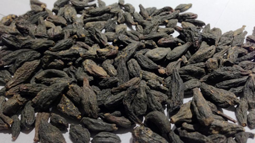 पावसाळ्याच्या आजारपण टाळण्यासाठी हिरडा फायदेशीर । How hirda helps to ...