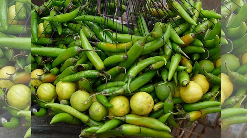 लिंबू-मिर्चीच्या धंद्यात लाखोंना रोजगार आणि करोडोंची उलाढाल | Millions ...