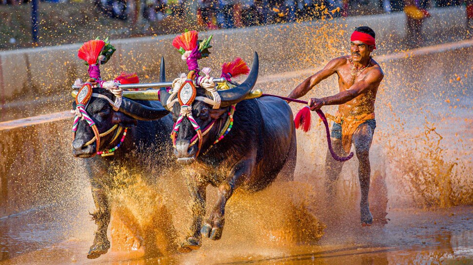 हे' कारण देत भारताच्या 'उसेन बोल्ट'ने नाकारली नॅशनल ट्रायलची ऑफर ...