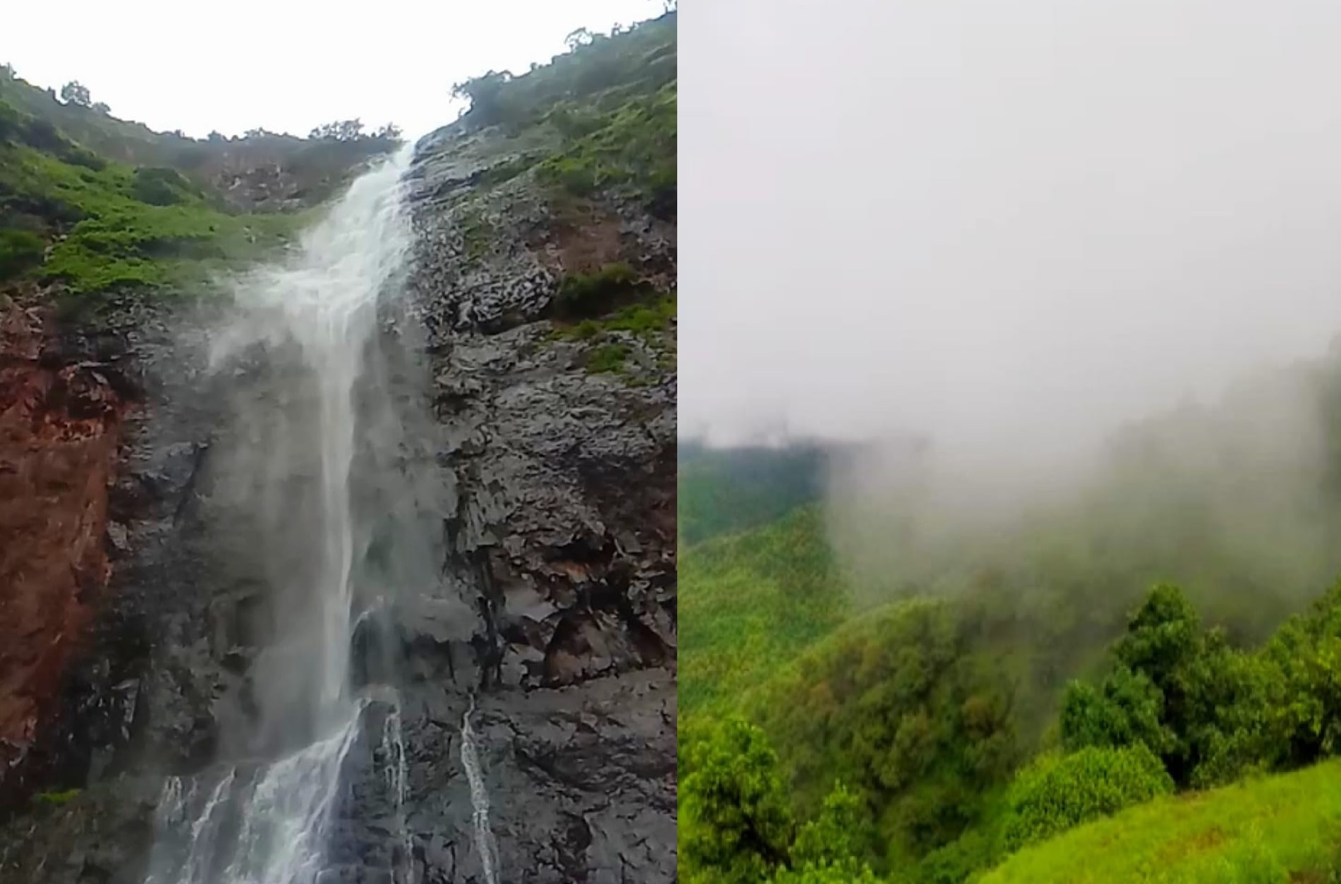 मेळघाटातील निसर्ग सौंदर्य; पसरली धुक्याची चादर | Photo gallery on ...