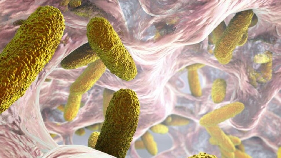 After Corona now the threat of Candida Oris Superbug andaman nikobar