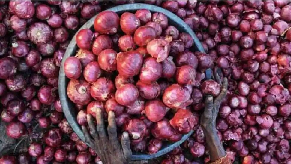 onion-price-rise-latest-news-what-is-the-cost-of-1-kilo-grams-onion ...