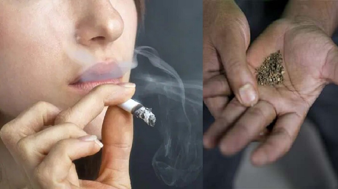 Risk of Sigarate and Tobbaco for corona patients and normal people