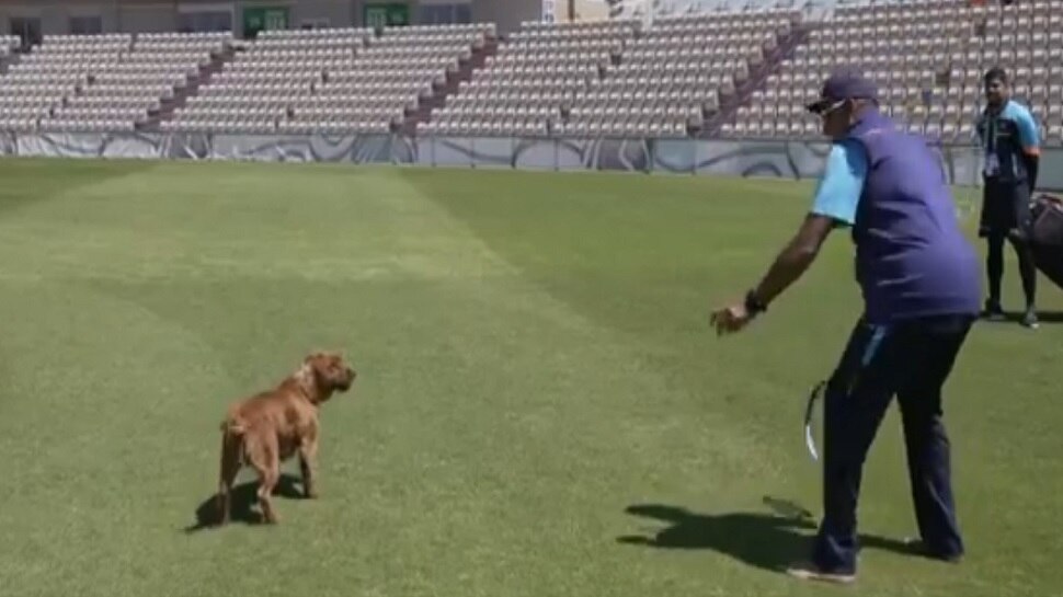 BCCI Team india coch Ravi Shastri playing with dog video viral