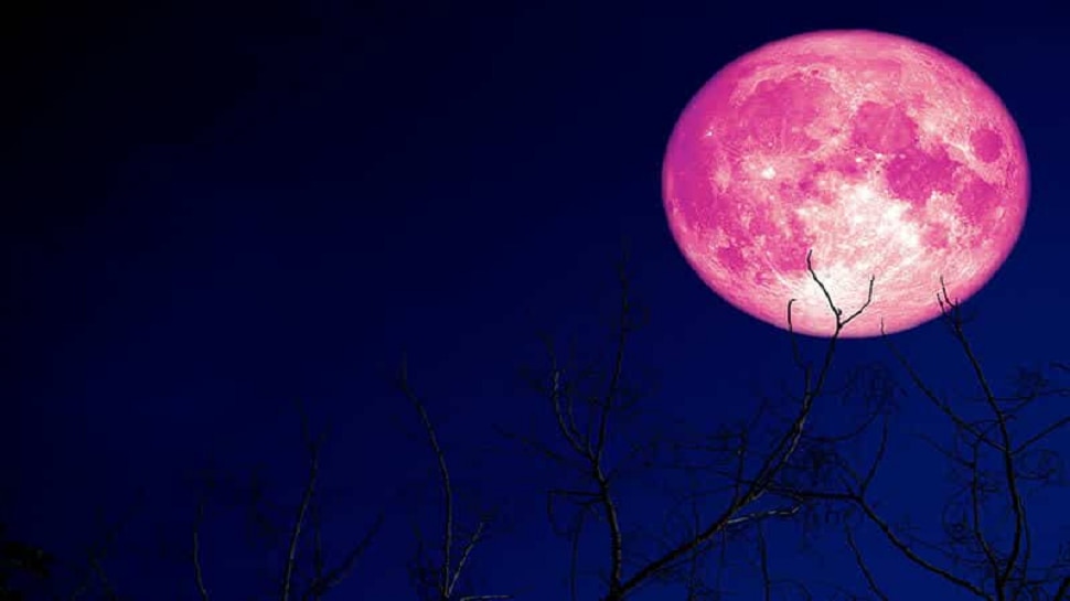 strawberry-moon-2021-know-everything-about-strawberry-moon-timing-and ...