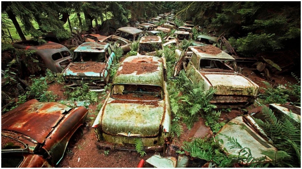 weird-news-75-years-old-traffic-jam-in-south-belgium-forest-since-world-war