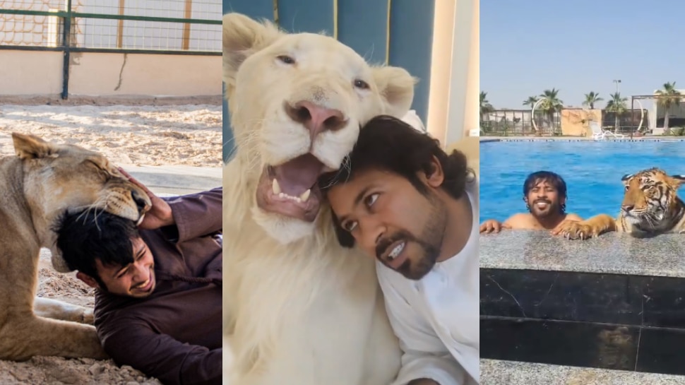 viral video of Humaid Abdalla AlBuQaish who flaunts exotic animals on ...