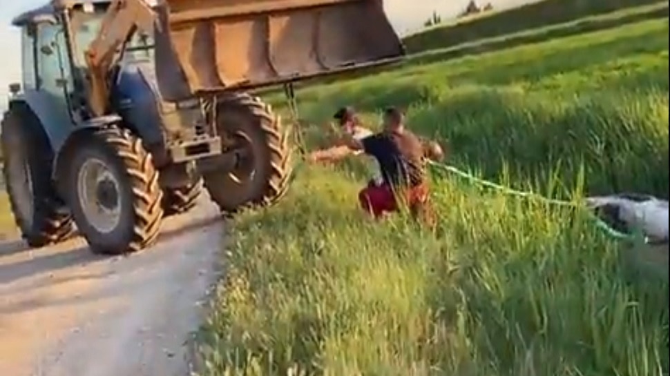 jcb help to remove car from pothole funny video viral on social media