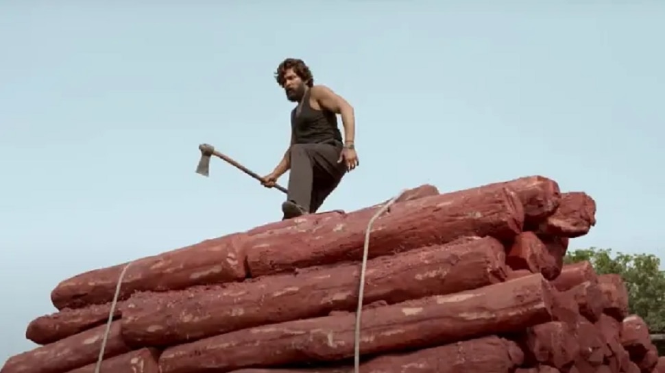 Sangli pushpa rakt chandan red sandalwood smuggler arrested