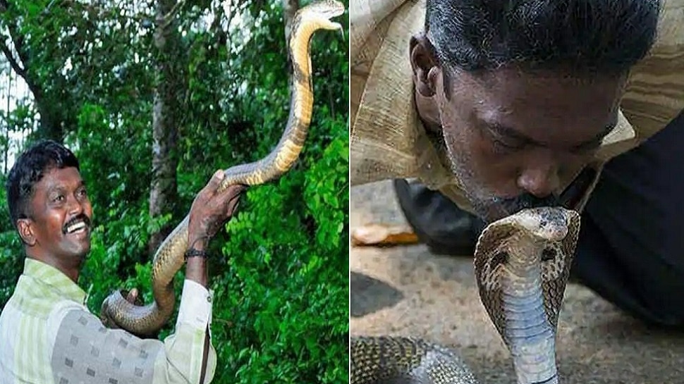 Vava Suresh Kerala Snake catcher health and life information know in ...