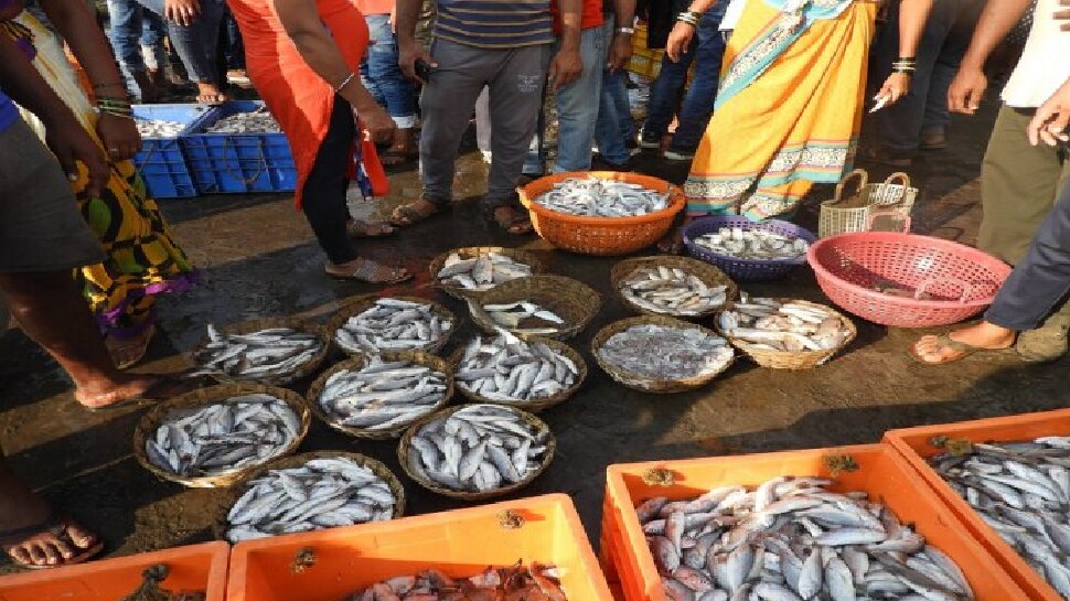 are you eating poisoned bleaching powdered harmful fish