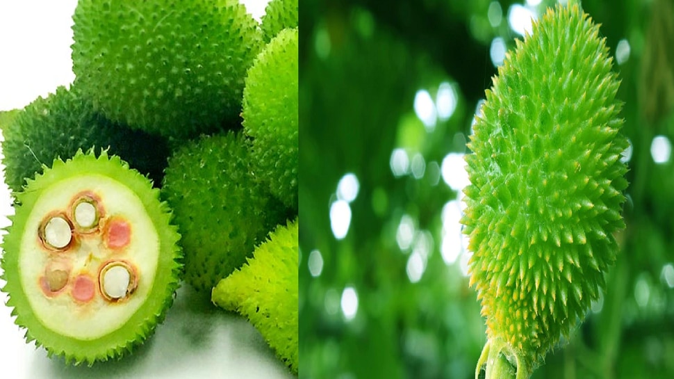 जगातील सर्वात शक्तीवर्धक भाजी; आहारात सामावेश असावाच; तुमच्या परिसरात ...