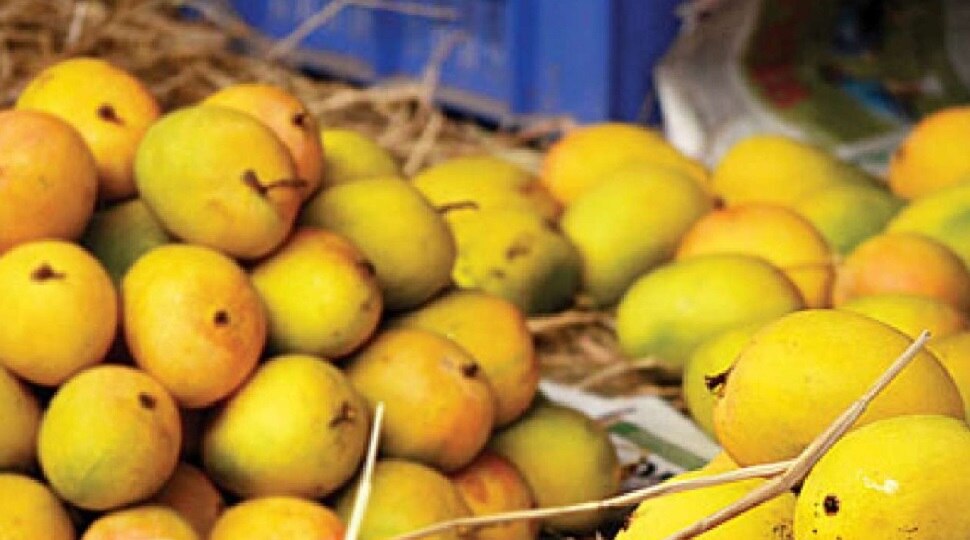 Russia Ukraine War mango farmer more affected after coronavirus