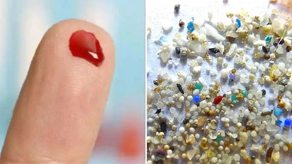microplastic particles detected in human blood know everything in detail