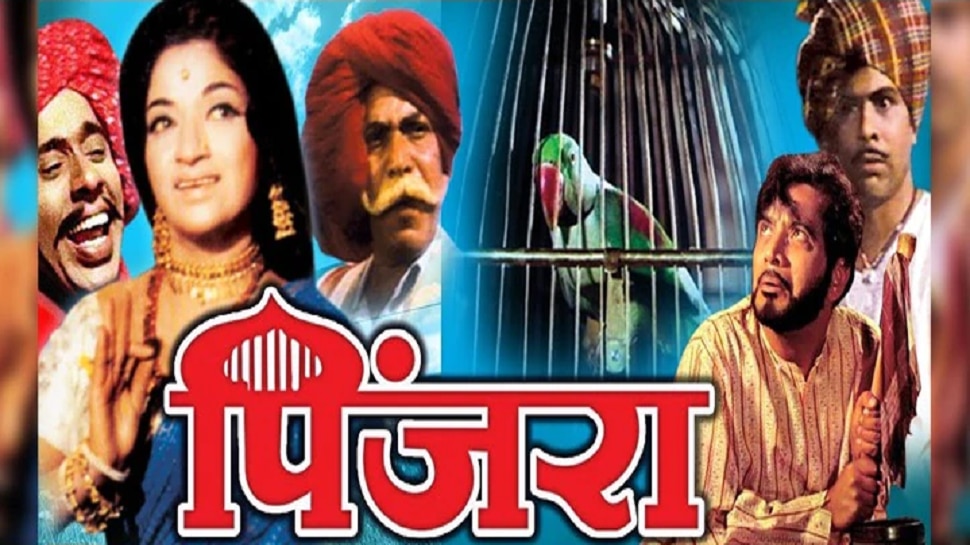 'Pinjra' movie completes 50 years