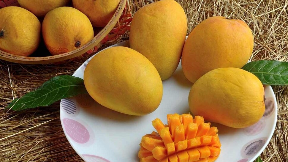 Diabetes Patients Should Eat Mangoes Or Not Know How Diabetes Patient Diabetes Patients Should Eat Mangoes Or Not Know How Diabetes Patient