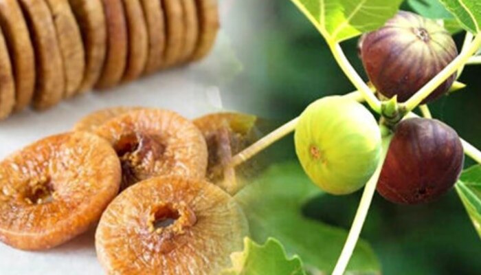 figs benefits for strong bones