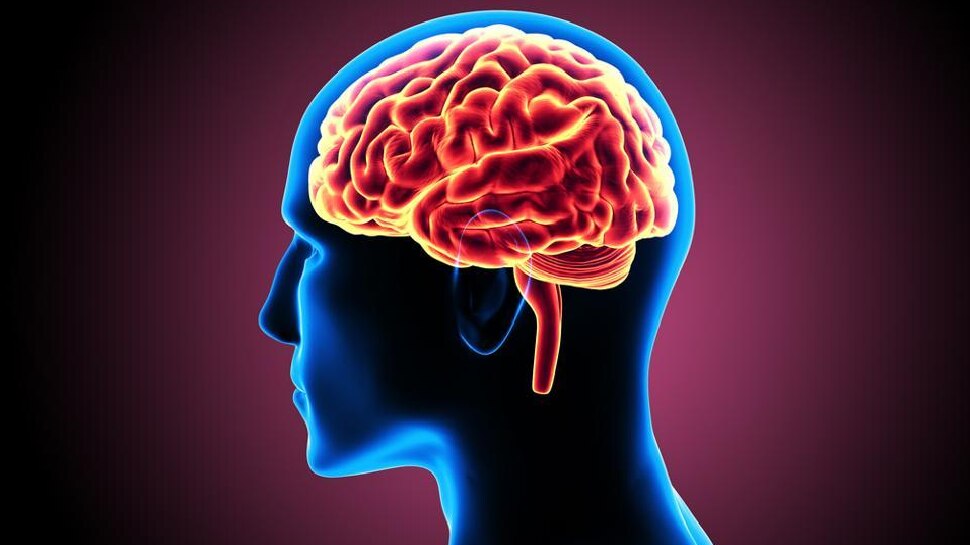4 simple and easy ways to increase blood circulation in the brain