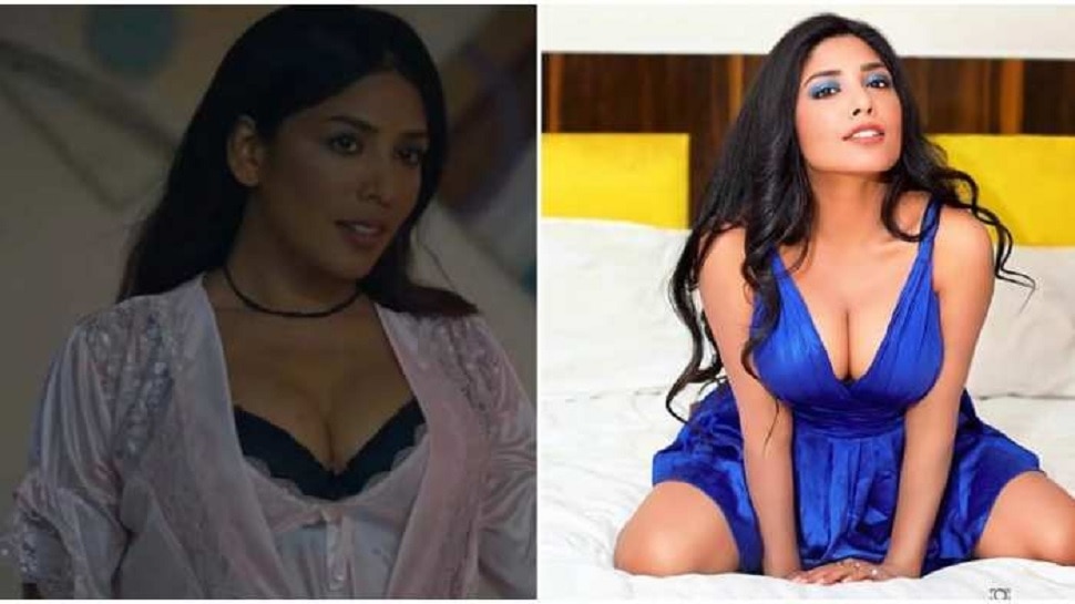 Web Series: Every limitation was broken in Palang Tod Zaroorat web ...