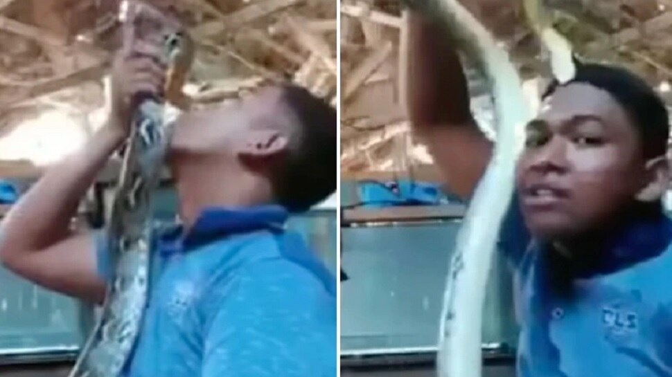 boy was playing with python snake caught-his hair then he scream