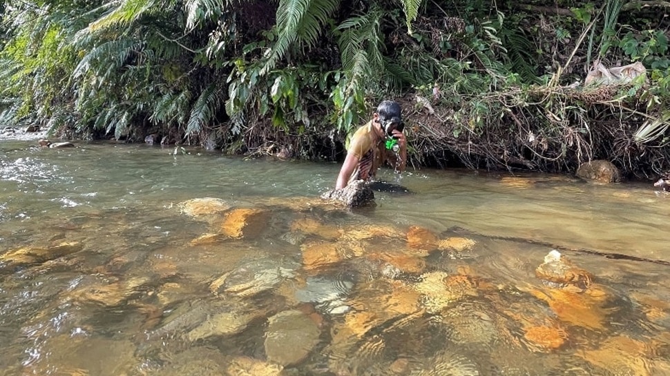 gold found in the mud of this river people goes and bring it home