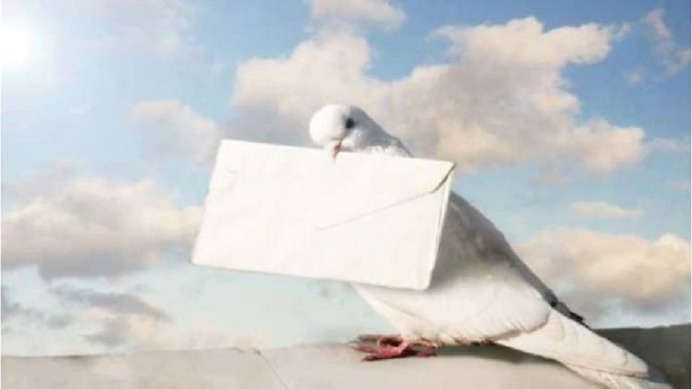 Why Earlier Letters Sent By Pigeons know fact about it