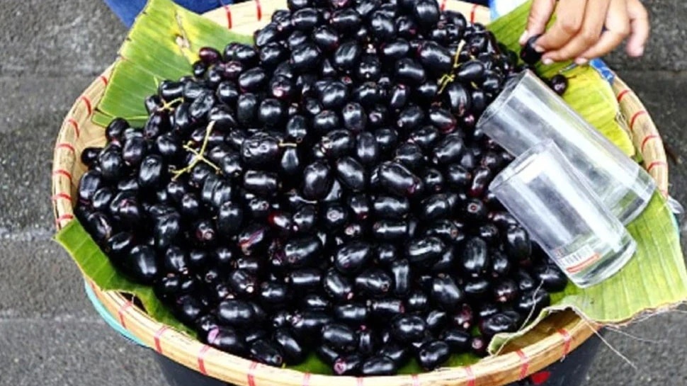 Java Plum Benefits jamun benefits improve hemoglobin sugar control