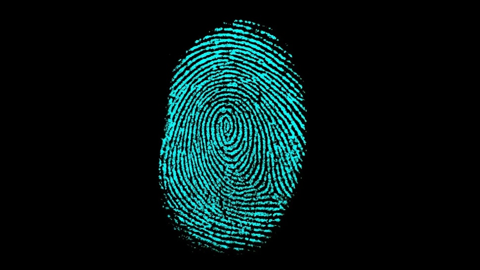 human fingerprint fact and types know more about it do you know how it work