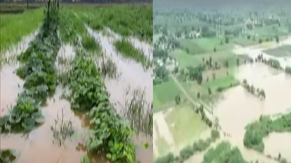 crops on 9 lakh hectares of the maharashtra are in water