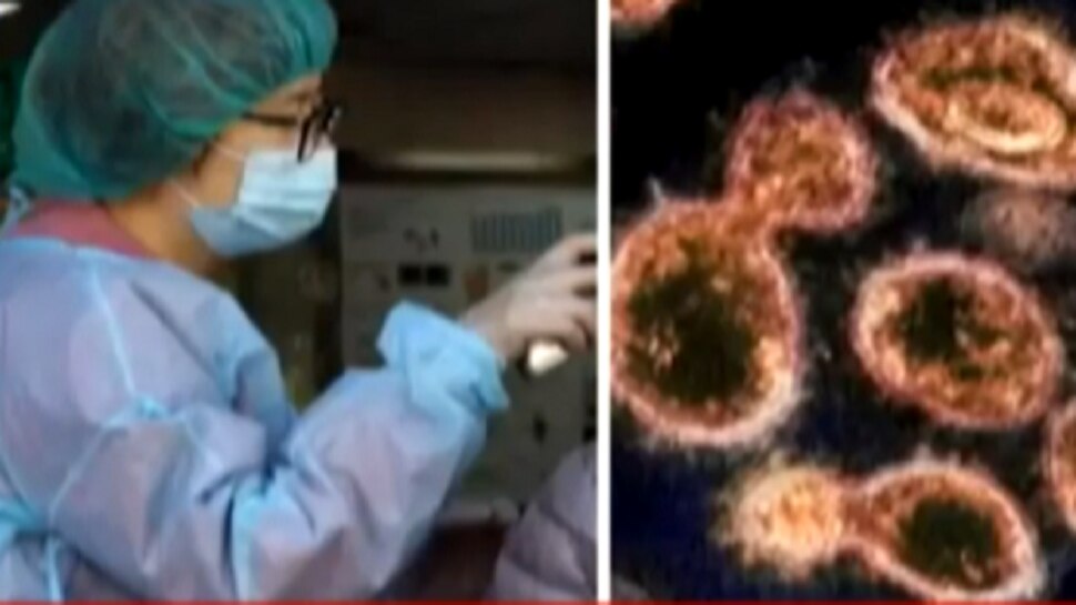 new langya virus found in china