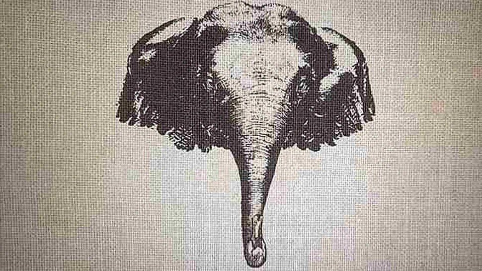 Optical Illusion Two animals are hidden picture 10 seconds brain