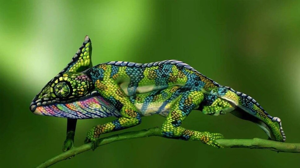 Optical Illusion Find The Puzzle hidden In The Chameleon Just 9 Seconds