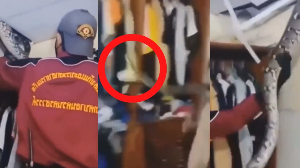 off beat python on ceiling fallen down and attacked snake rescuer must ...