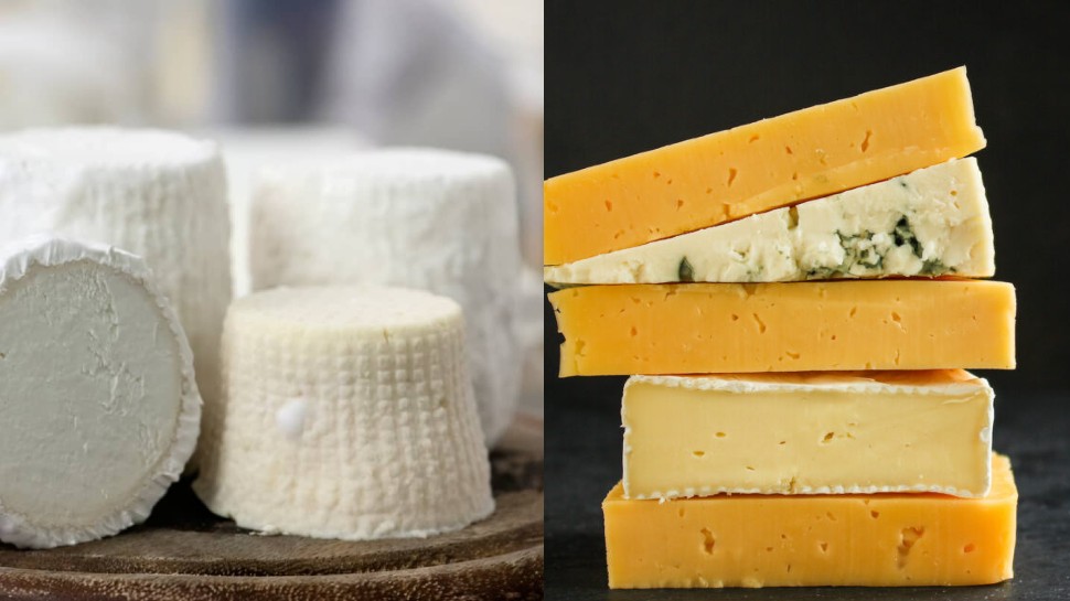 World’s Most Expensive Cheese is made from the milk of Balkan donkey