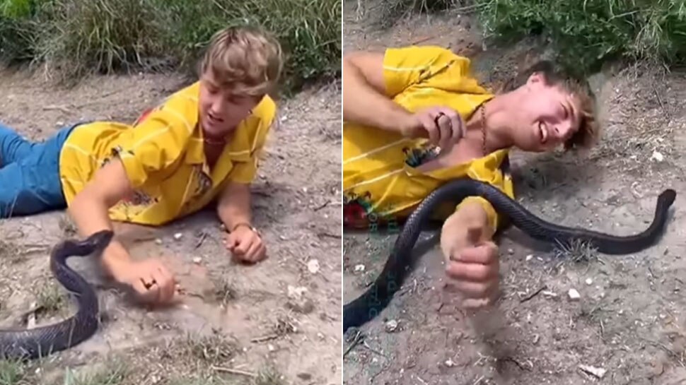 treading video man playing with snake Viral Video on Social Media nb