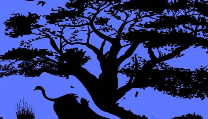 Optical Illusion Animals hidden in trees will tell your personality