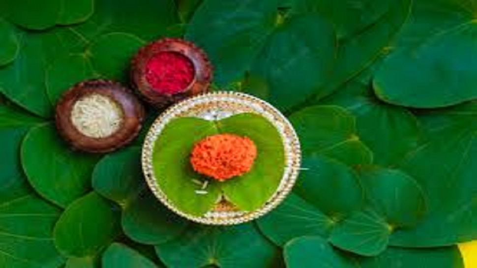 dasara 2022 gold apta leaf nmp