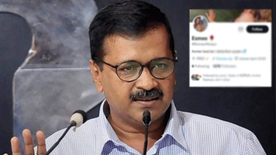 Arvind Kejriwal यांनी अश्लील ट्विटर अकाउंट फॉलो केले होते का? जाणून घ्या... | भारत News in Marathi
