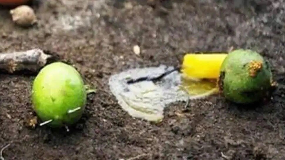 tone totke astro tips-for-road-side-things-and-lemon-pepper dp