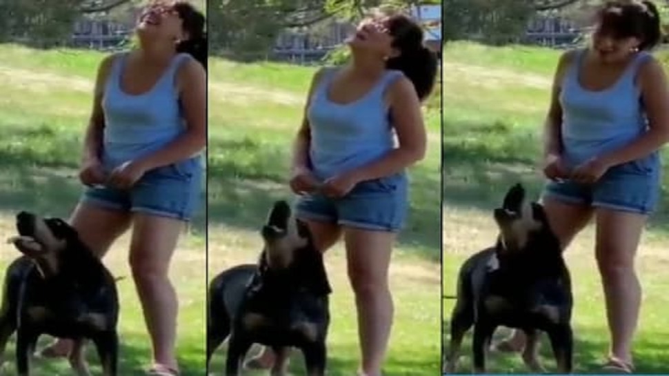 Talking Dog Video Viral on social media nmp