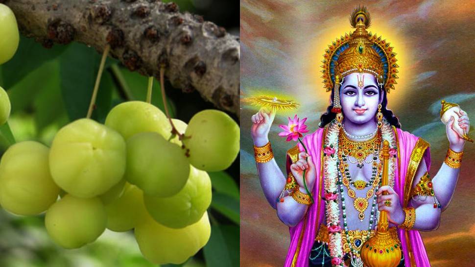Akshay Navami : Pujan muhurat and complete process of pujan