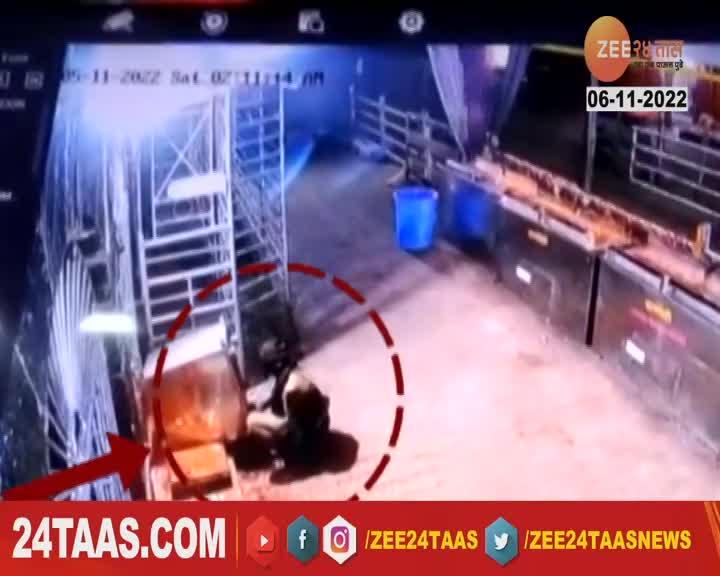Mandhara devi Temple CCTV Of Theft | देवालाही सोडले नाही चोरांनी ...