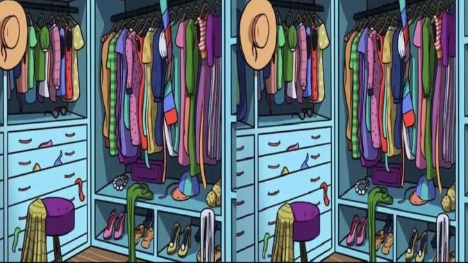 Optical Illusion Find the hidden cat in the photo