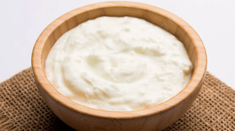 curd benefits for weight loss in winter Health Tips