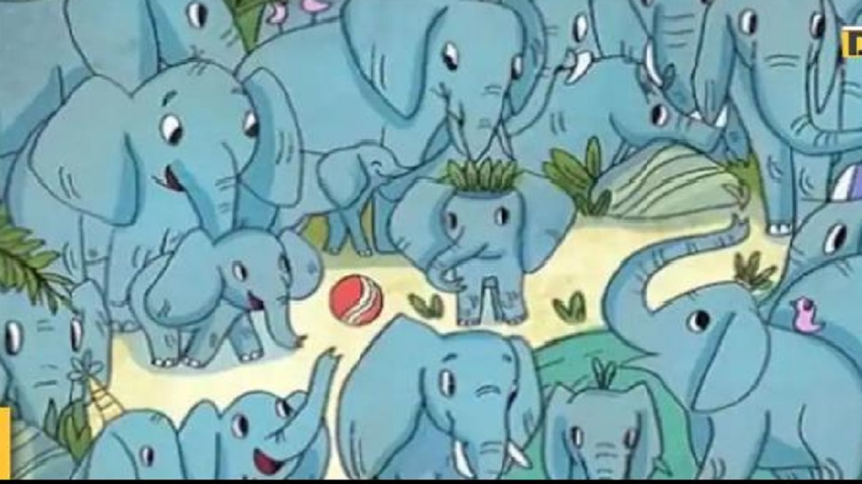 Optical illusion Find the rhinoceros hidden among the elephants in this ...