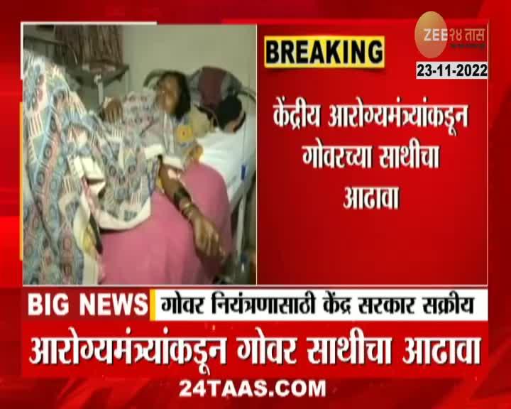 Govar Diseases Vaccination | गोवर नियंत्रणासाठी केंद्र सरकारचा मोठा ...