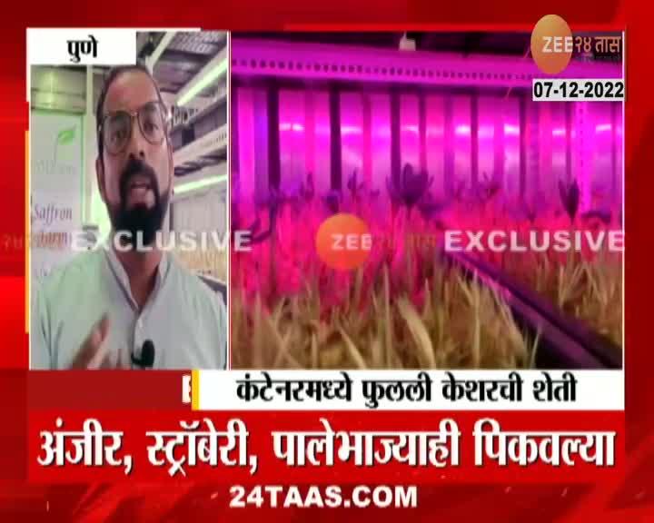 Punr Keshar Farm | पुण्यात विना सूर्यप्रकाश, विनामाती फुलवली केशरची ...